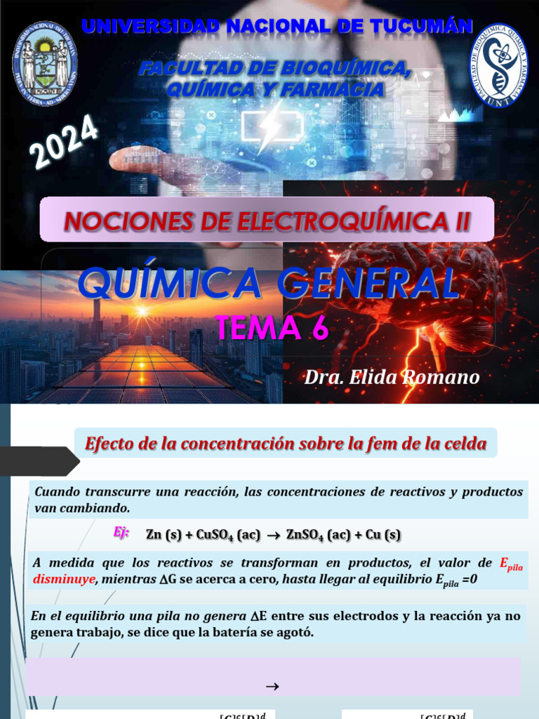 Tema 6 - Electroquímica II 2024 | PDF | Redox | Equilibrio químico