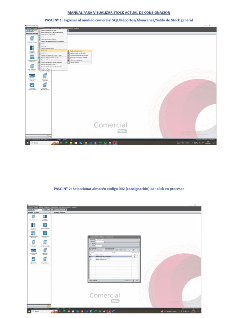 Manual para Visualizar El Stock Diario de Consignacion | PDF