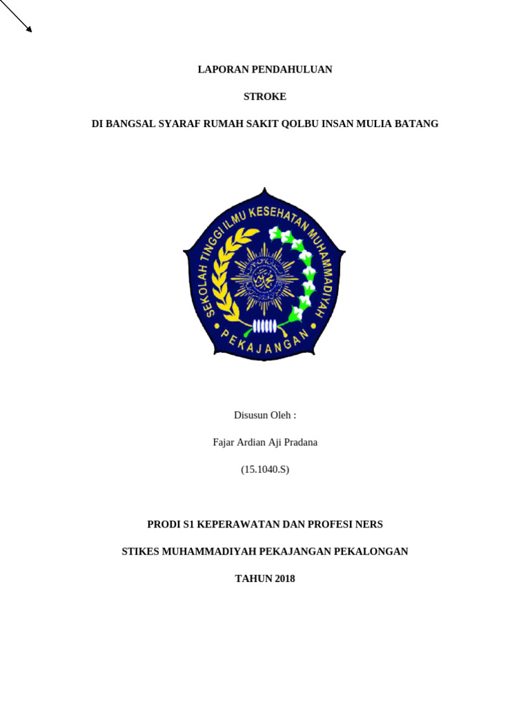 PDF Laporan Pendahuluan Stroke | PDF