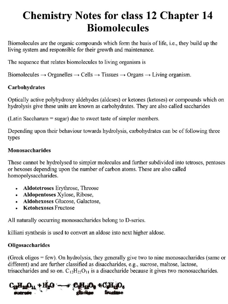 14 Biomolecules | PDF