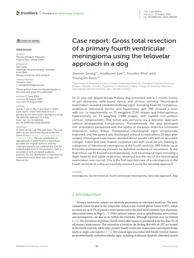 Gross Total Resection of A Primary Fourth Ventricular Meningioma Using ...