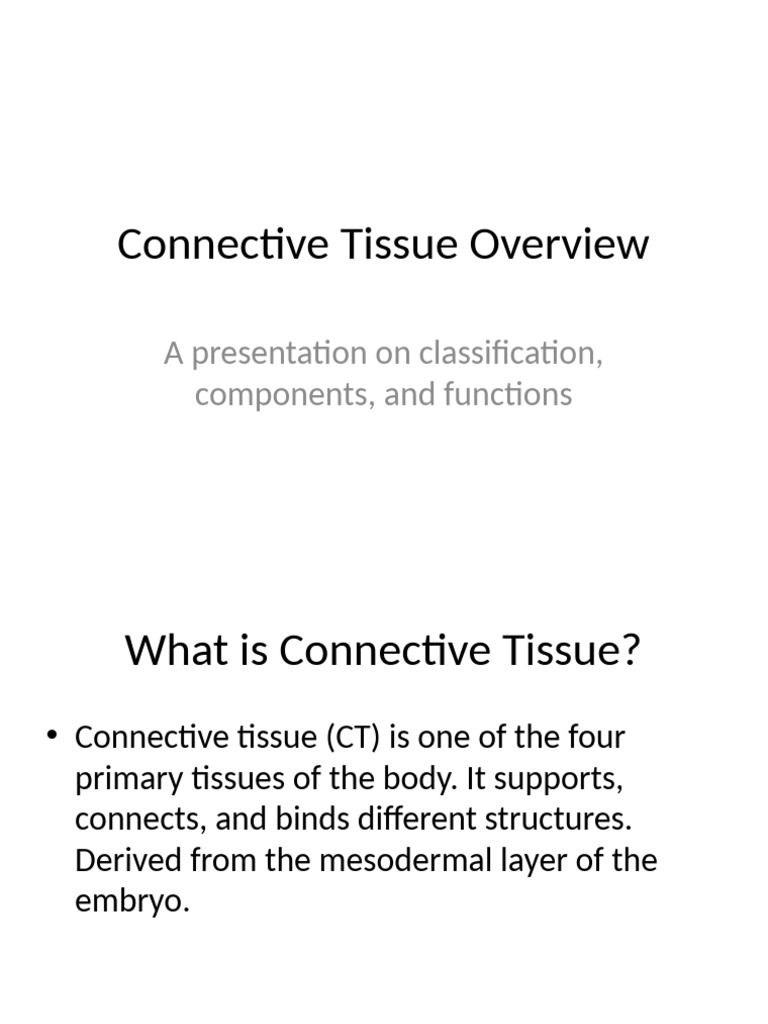 Connective Tissue Presentation | PDF