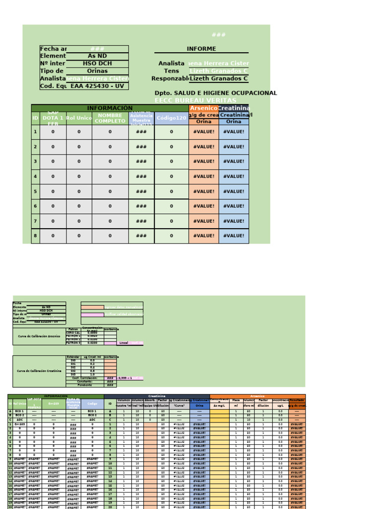 Formato Informe DCH | PDF