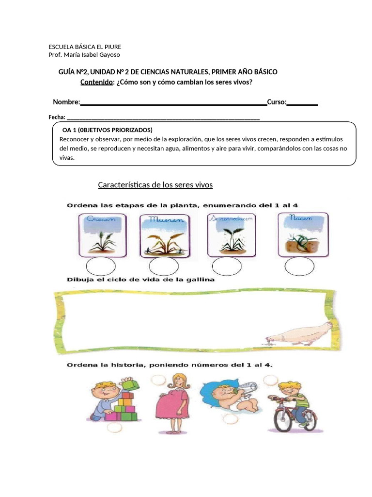 GUIA N° 2, UNIDAD N° 2 SERES VIVOS Y NO VIVOS | PDF