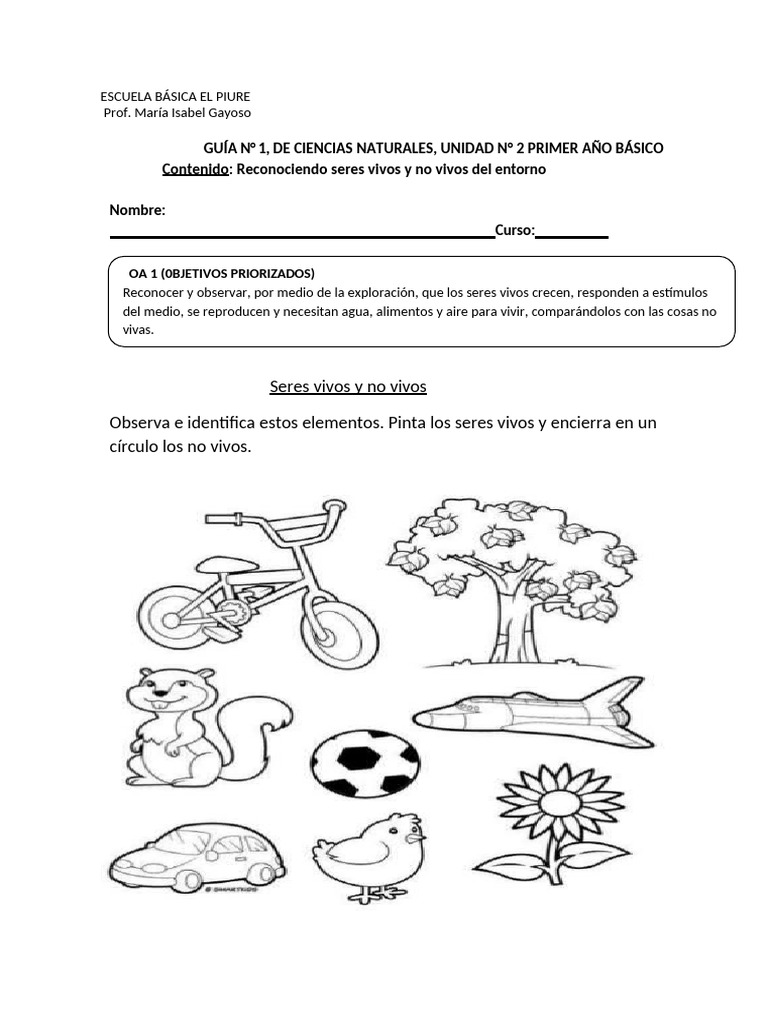 Guia #1, Ujidad #2 Seres Vivos y No Vivos | PDF