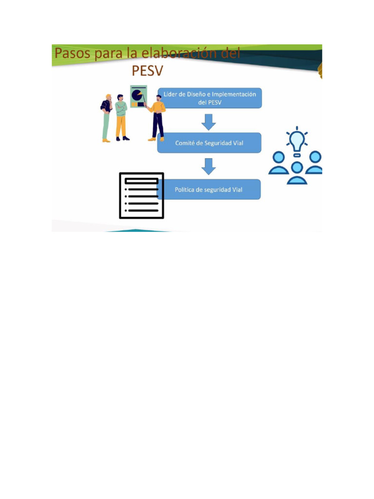 Pasos Elebaoracion Pesv | PDF