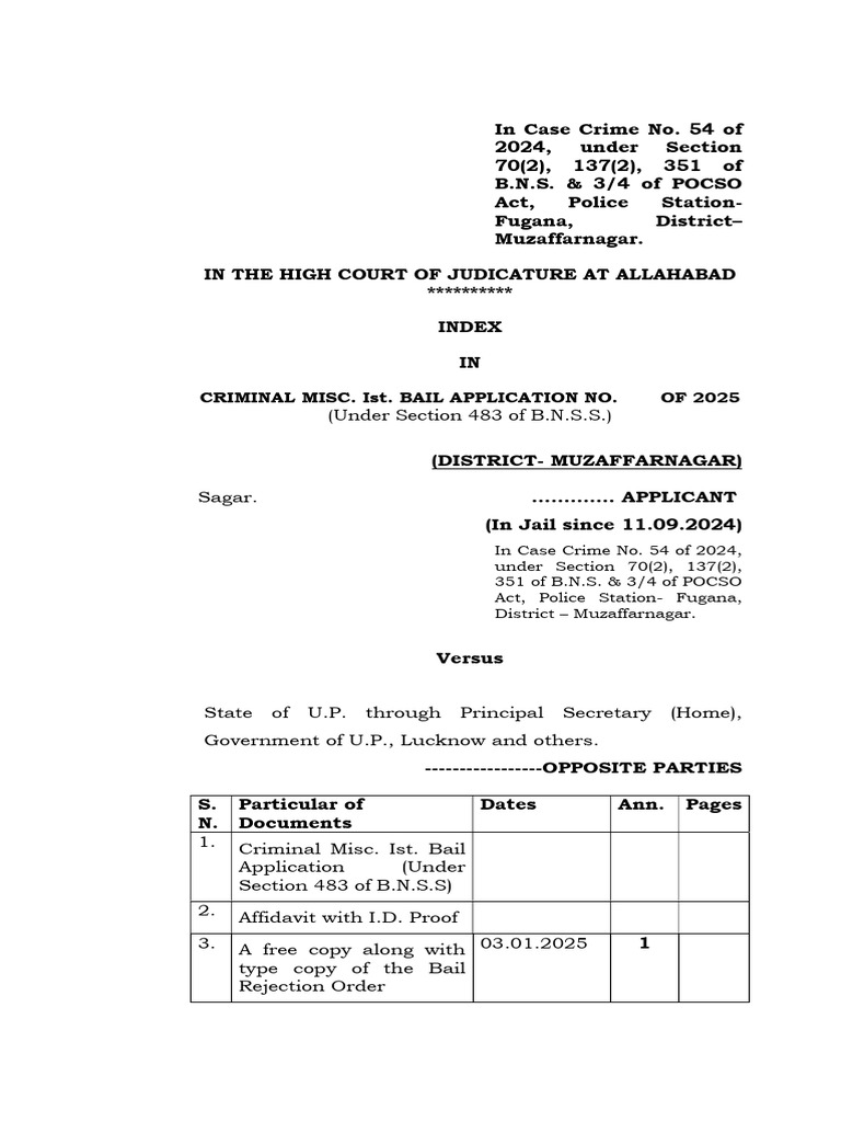 Bail Application in POCSO Case 2024 | PDF | Affidavit | Bail