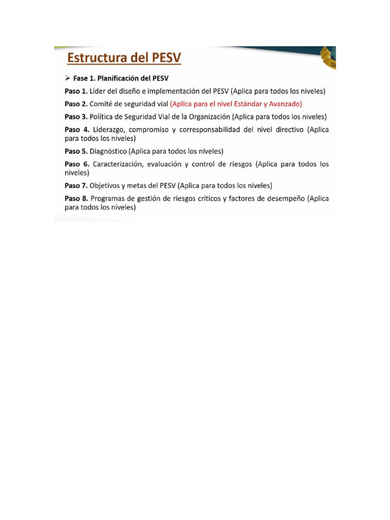 Estructura Pesv 1 | PDF