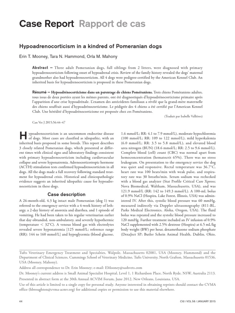Hypoadrenocorticism in A Kindred of Pomeranian Dogs - Mooney Et Al | PDF | Endocrine System ...