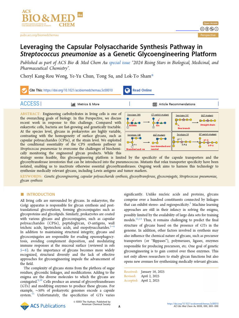 Wong Et Al 2025 Leveraging The Capsular Polysaccharide Synthesis ...