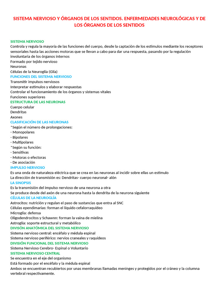 Tema 8 Sistema Nervioso y Órganos de Los Sentidos | PDF | Sistema ...