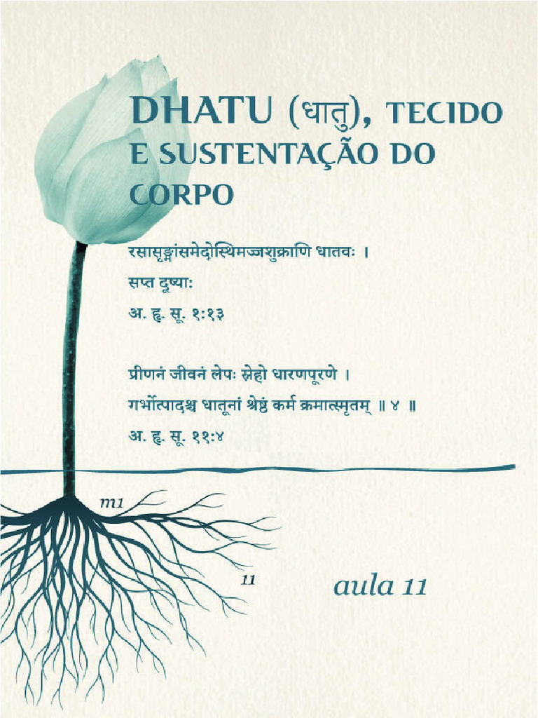 FA Md1 Aula11 Capa | PDF