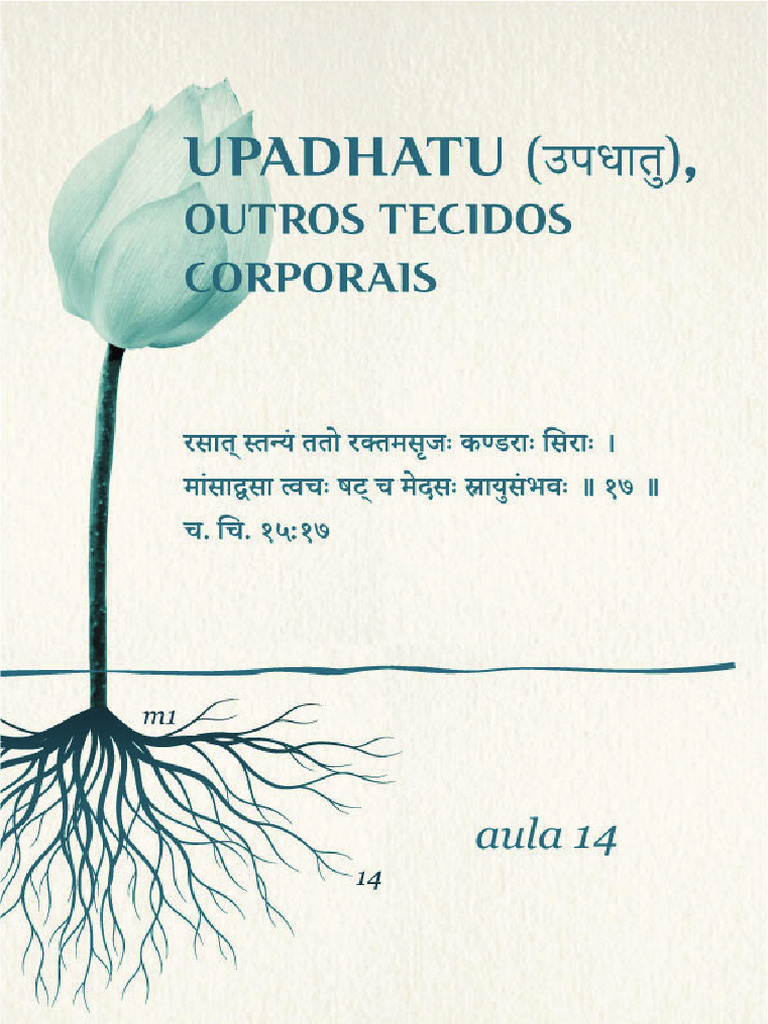 FA Md1 Aula14 Capa | PDF