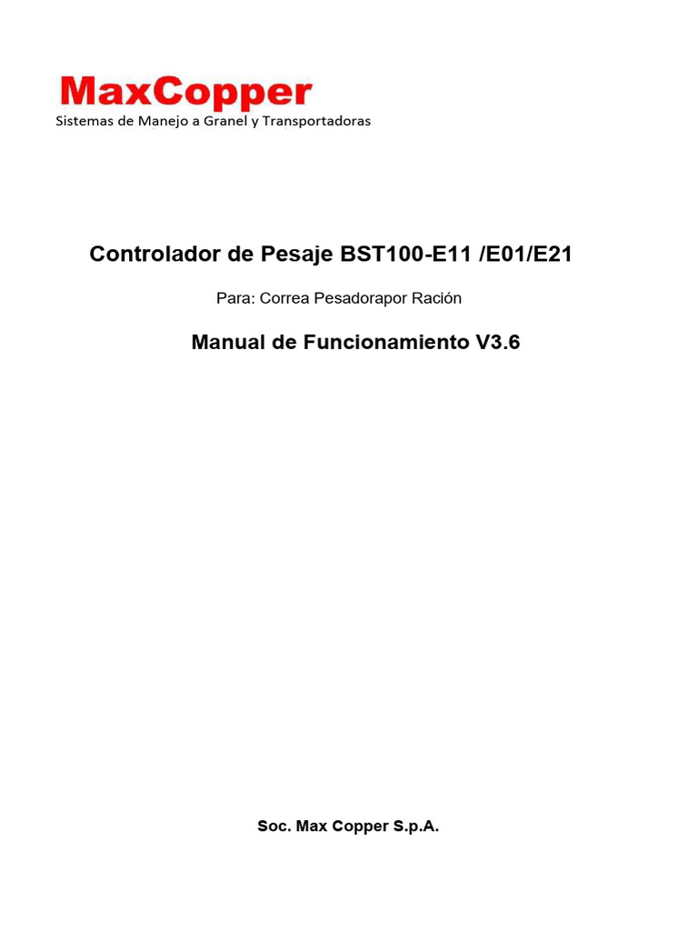 BST100 Pesometro | PDF | Cambiar | Relé