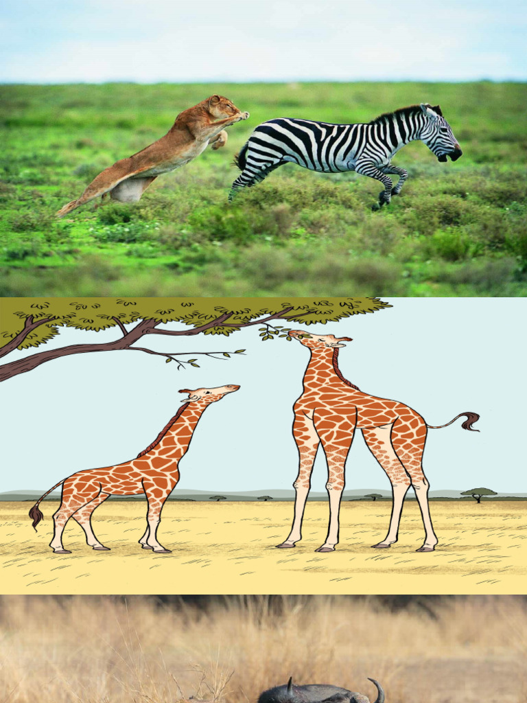 General Biology 2 | PDF