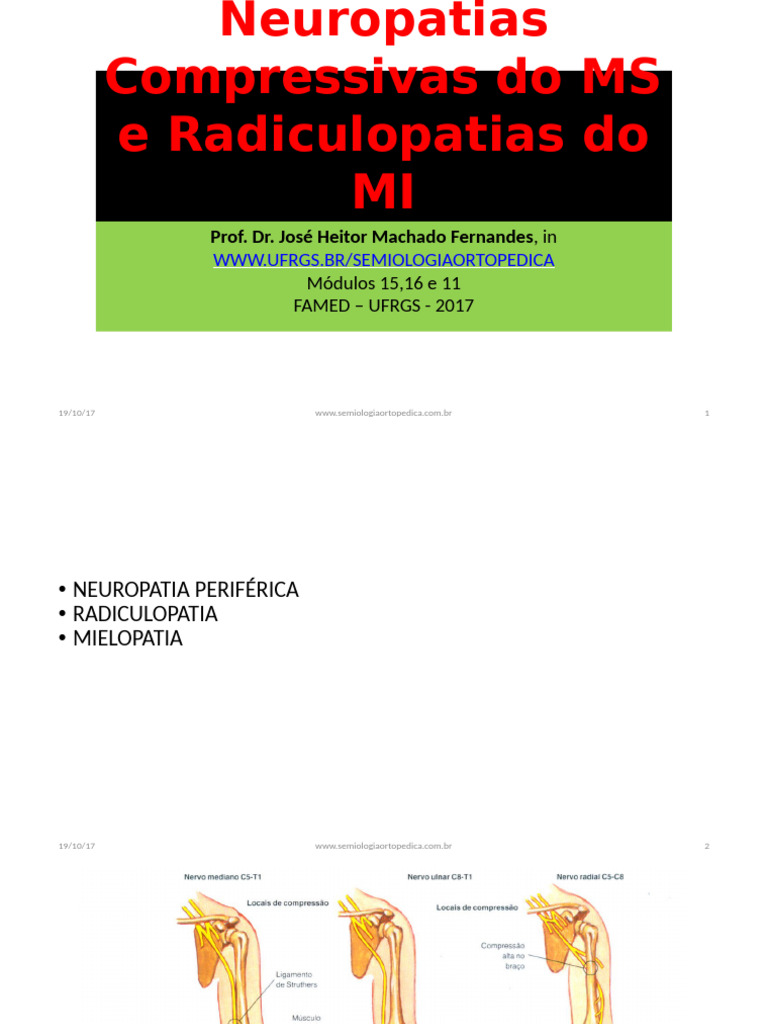 Neuropatias e Radiculopatias Periféricas | PDF | Nervo | Dor