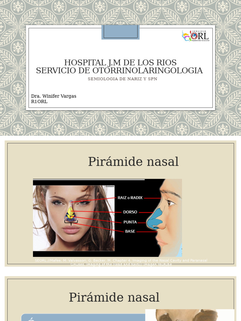 Semiologia de Nariz | PDF | Nariz humana | Rinología