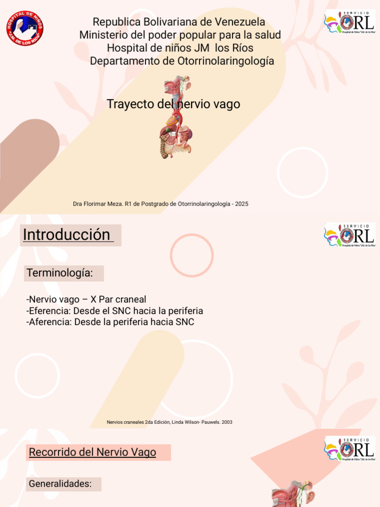 Nervio Vago | PDF | Nervio vago | Abdomen