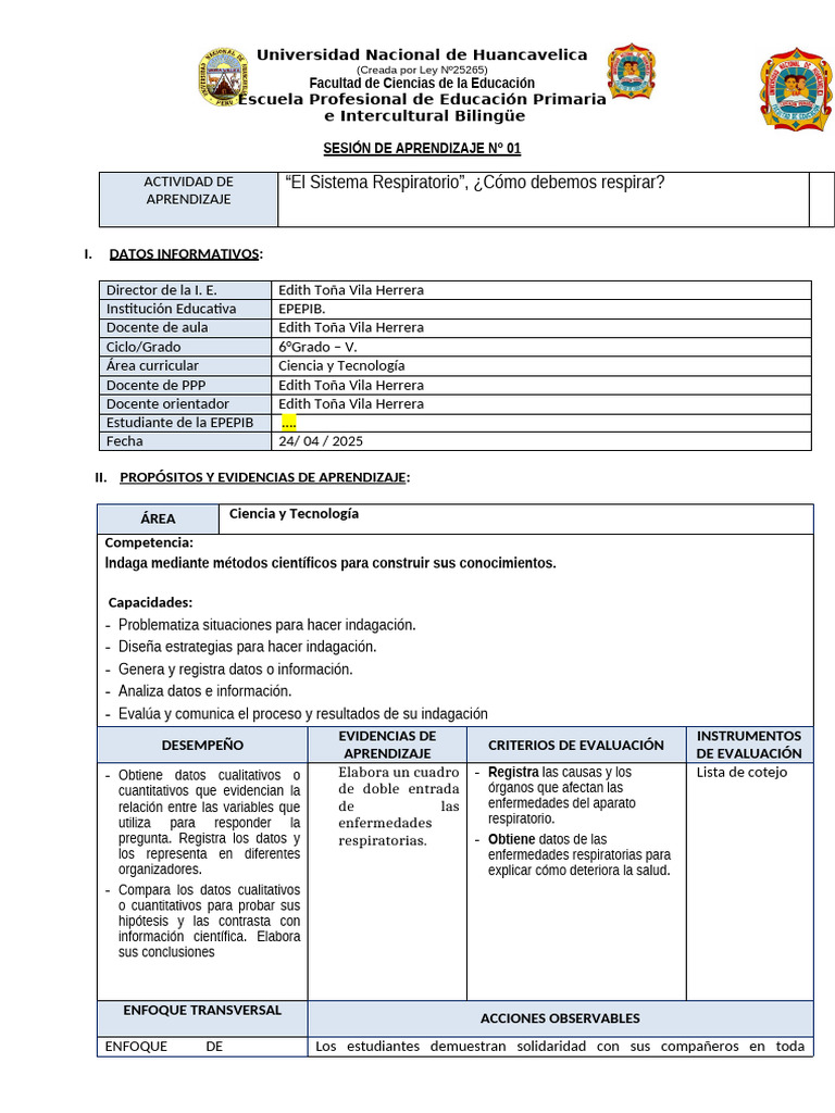 Modelo de Una Sesión Cyt de Fermedades Respitarorias Edith Vila | PDF | Pulmón | Respiración