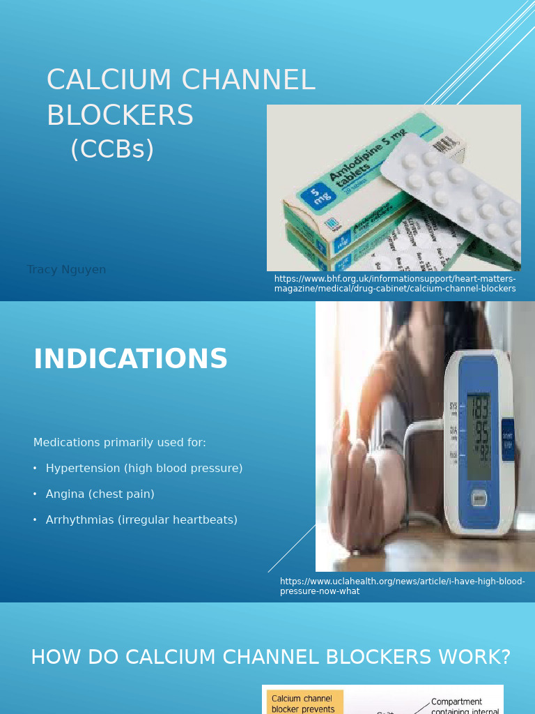 Calcium Channel Blockers - Tracy Nguyen | PDF | Drugs | Clinical Medicine
