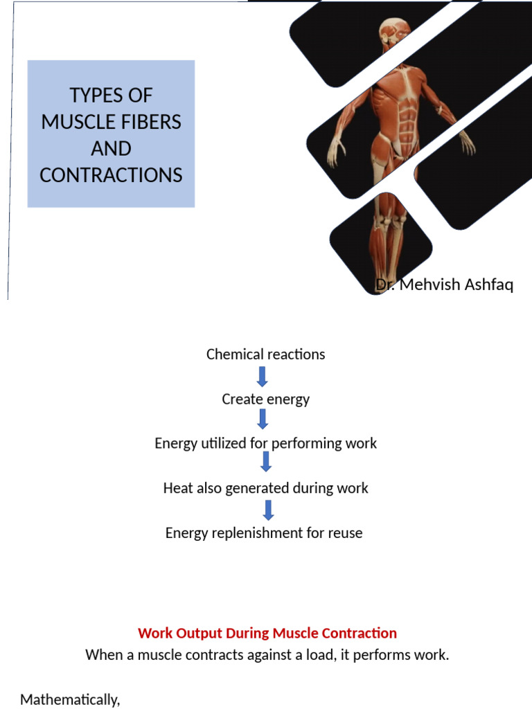 Types of Fibers and Contractions 2025 | PDF | Muscle Contraction ...