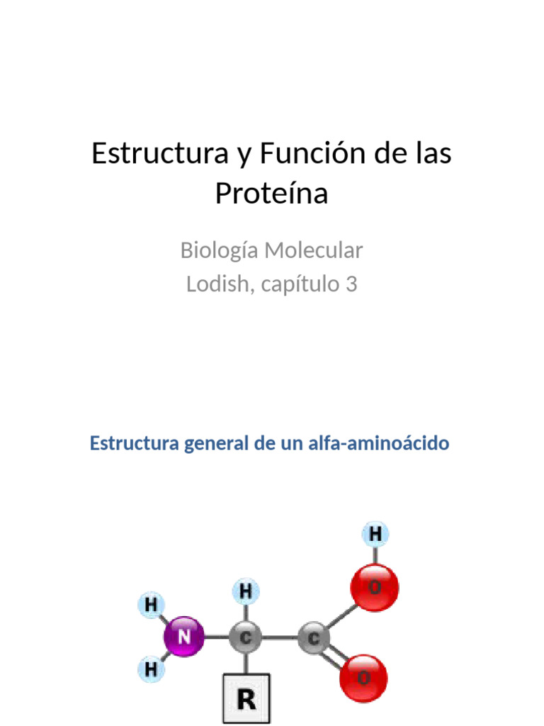 Estructura y Función de Las Proteína | PDF | Aminoácidos | Proteínas