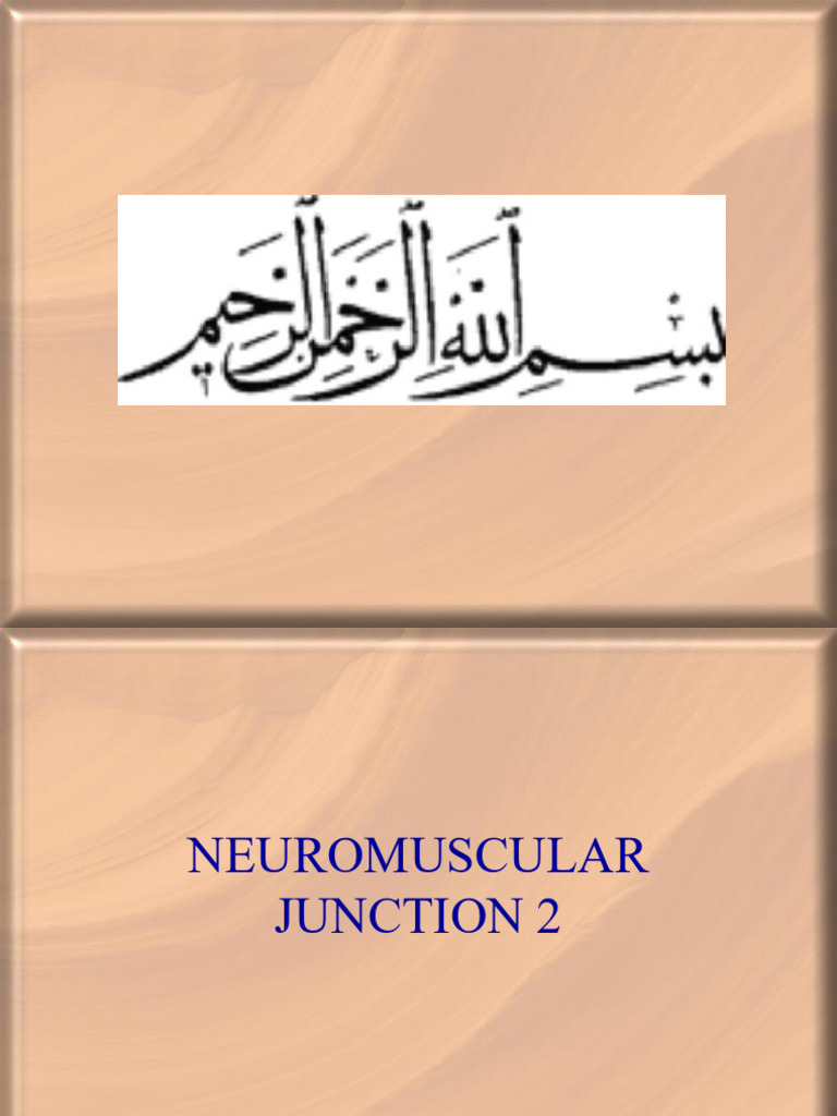 Nvkhzxfactors Affecting NMJ | PDF | Neuromuscular Junction | Acetylcholine