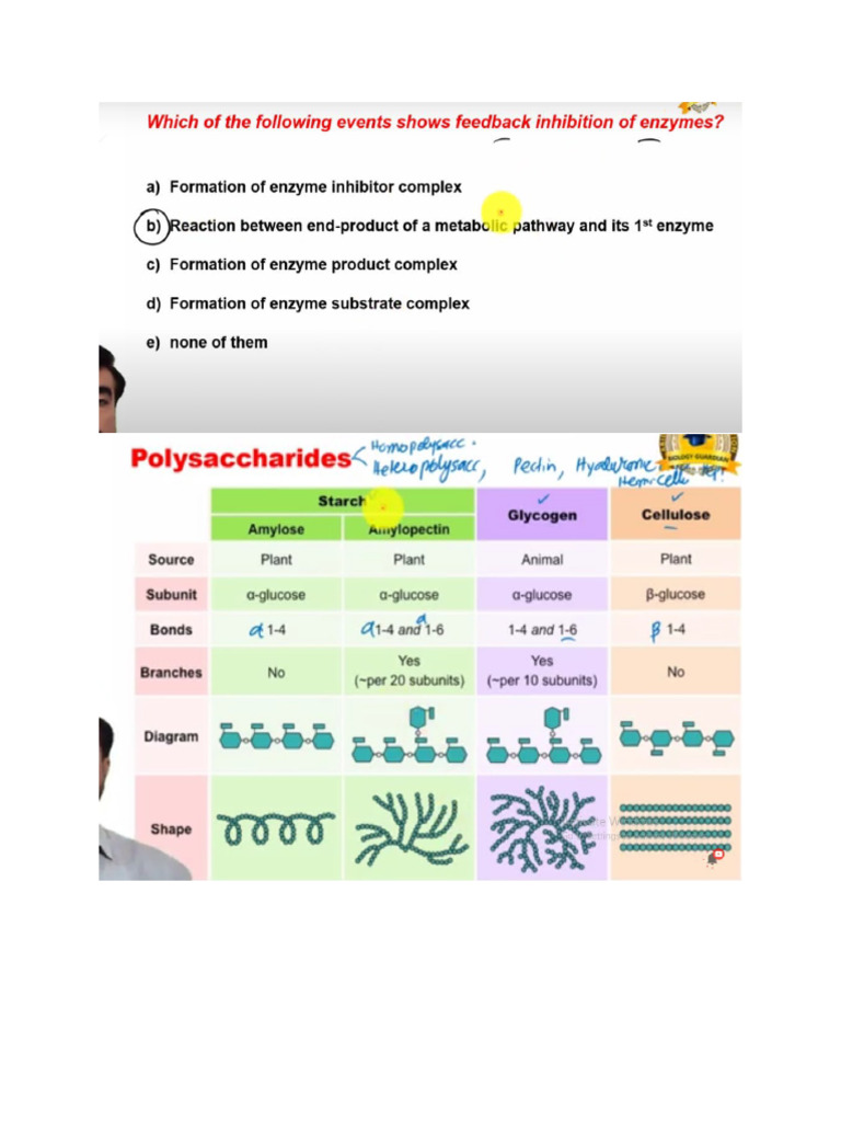 Biological Molecule | PDF