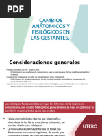 Signo de Piscacek y Cambios en el Embarazo | PDF | Útero | El embarazo
