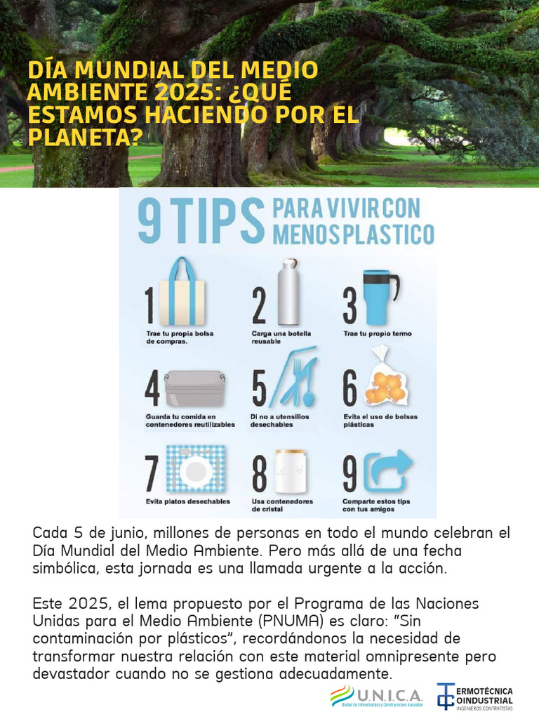 Dia Mundial Del Medio Ambiente | PDF