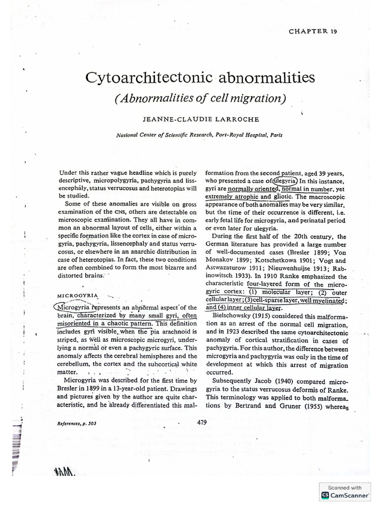 Cytoarchitectonic Abnormalities | PDF