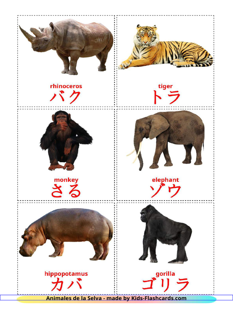 Japanese Word Cards (Animals) | PDF