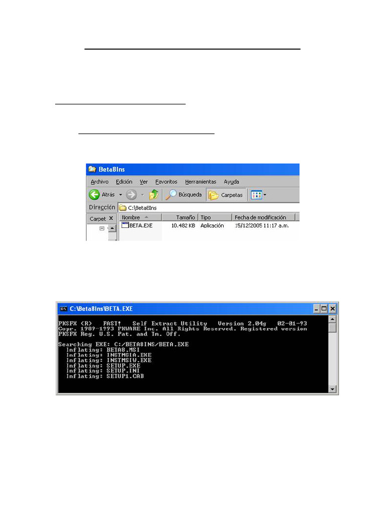 Instruct Ivo Insta Laci On Beta | PDF | Archivo de computadora ...