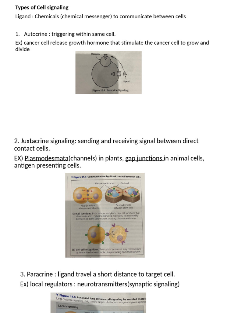 Types of Cell Signaling Mechanisms | PDF | Cell Signaling | Signal ...