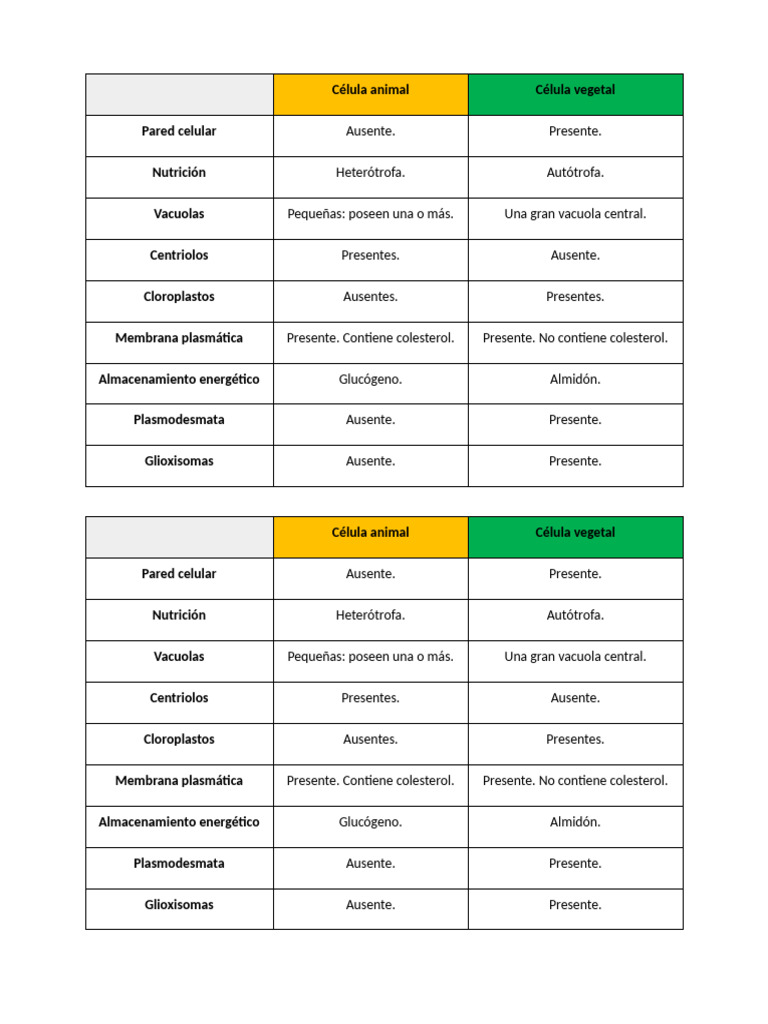 Célula Animal Yolett | PDF