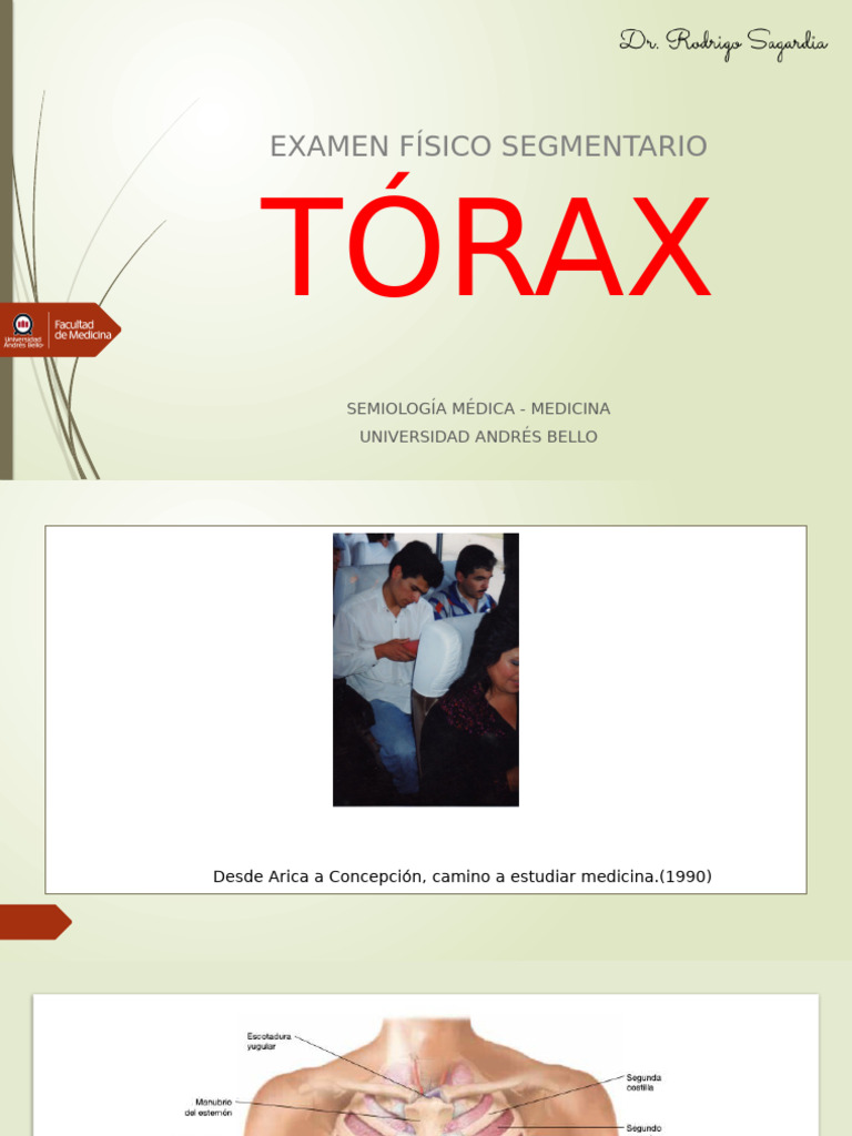 Semiolog A Del T Rax | PDF | Vena | Presión sanguínea