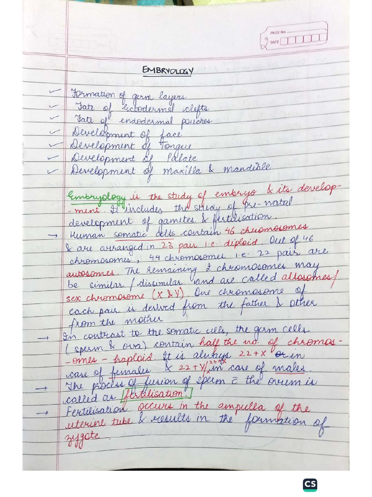 Embryology Notes | PDF