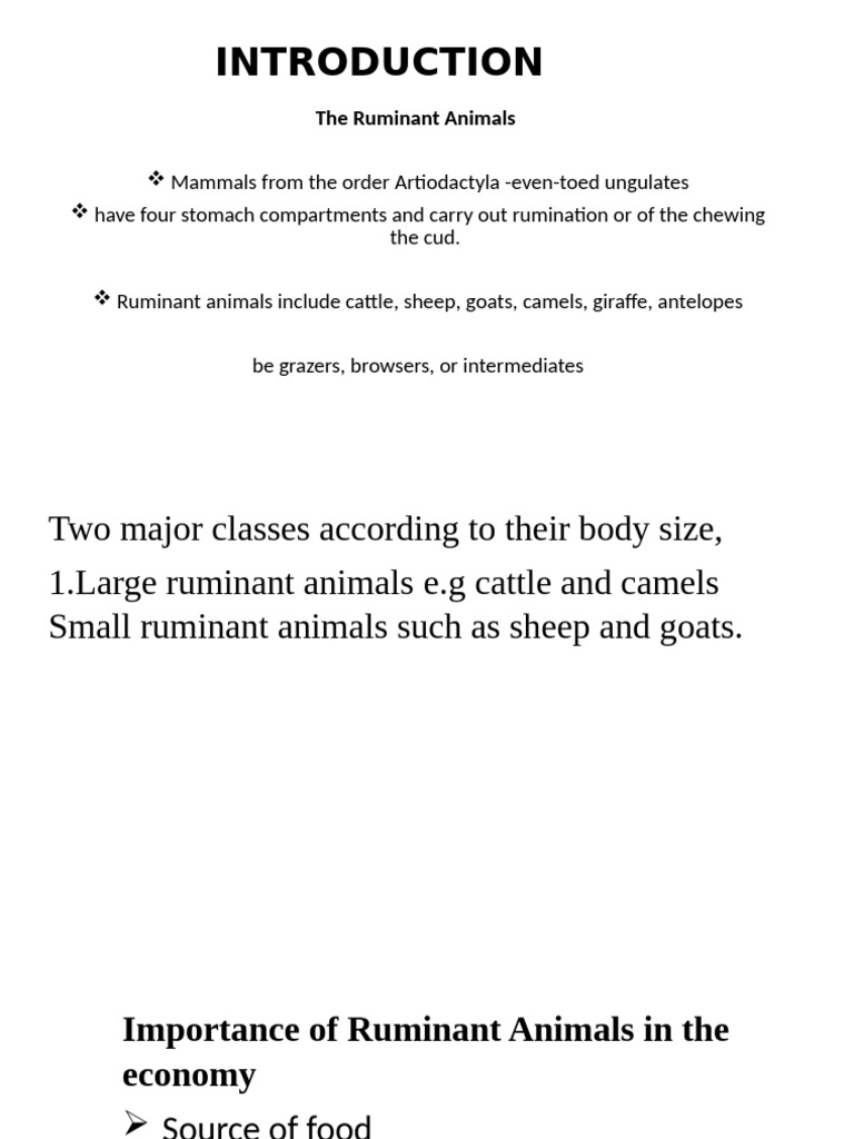 Ruminant Production Week 1 2 | PDF | Digestion | Ruminant
