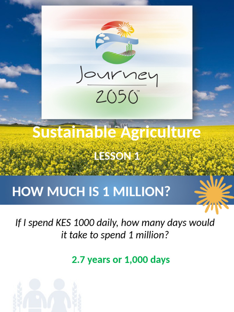Agricultural Sustainability Lesson | PDF | Agriculture | Sustainability