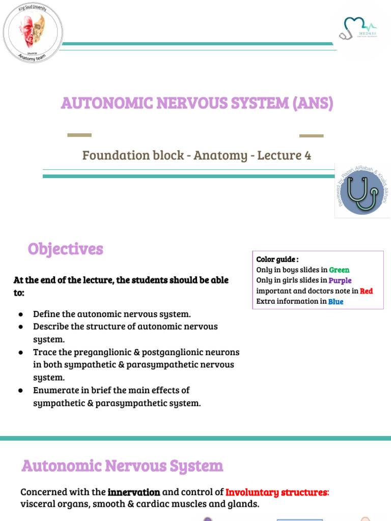 Autonomic Nervous System Overview | PDF | Autonomic Nervous System ...