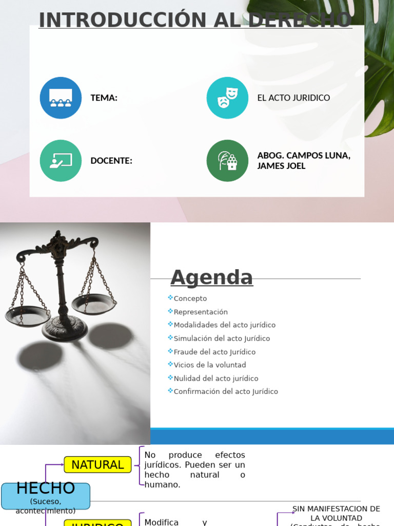 Acto Juridico Semana 09 y 10 | PDF | Nulo (ley) | Ley procesal