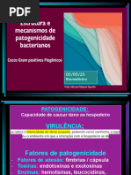 Definição e Tratamento do Fleimão | PDF | Medicina Clínica ...