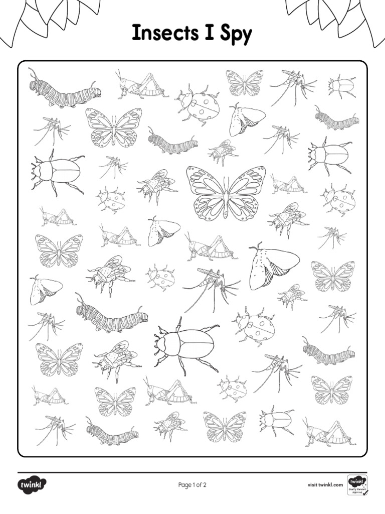 Black and White Insects I Spy Activity | PDF