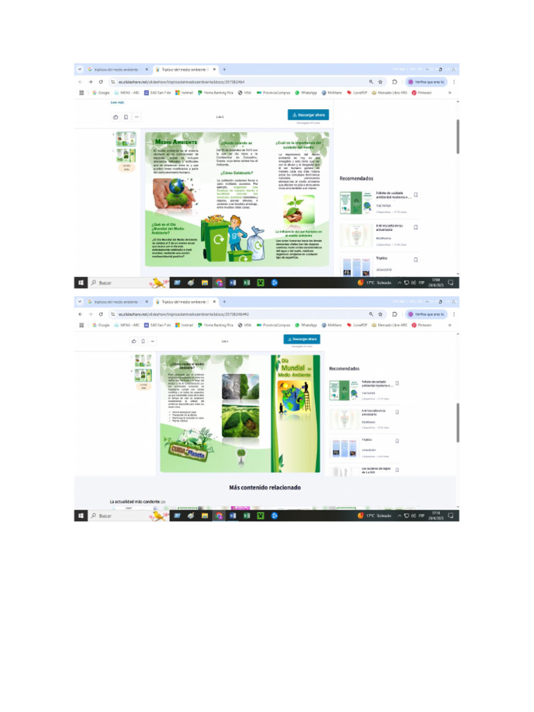 Ejemplos de Tripticos | PDF