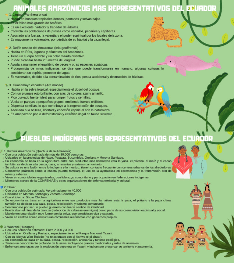 Presentación Juego Infantil Niños Jungla Selva Animales Ilustrativo ...