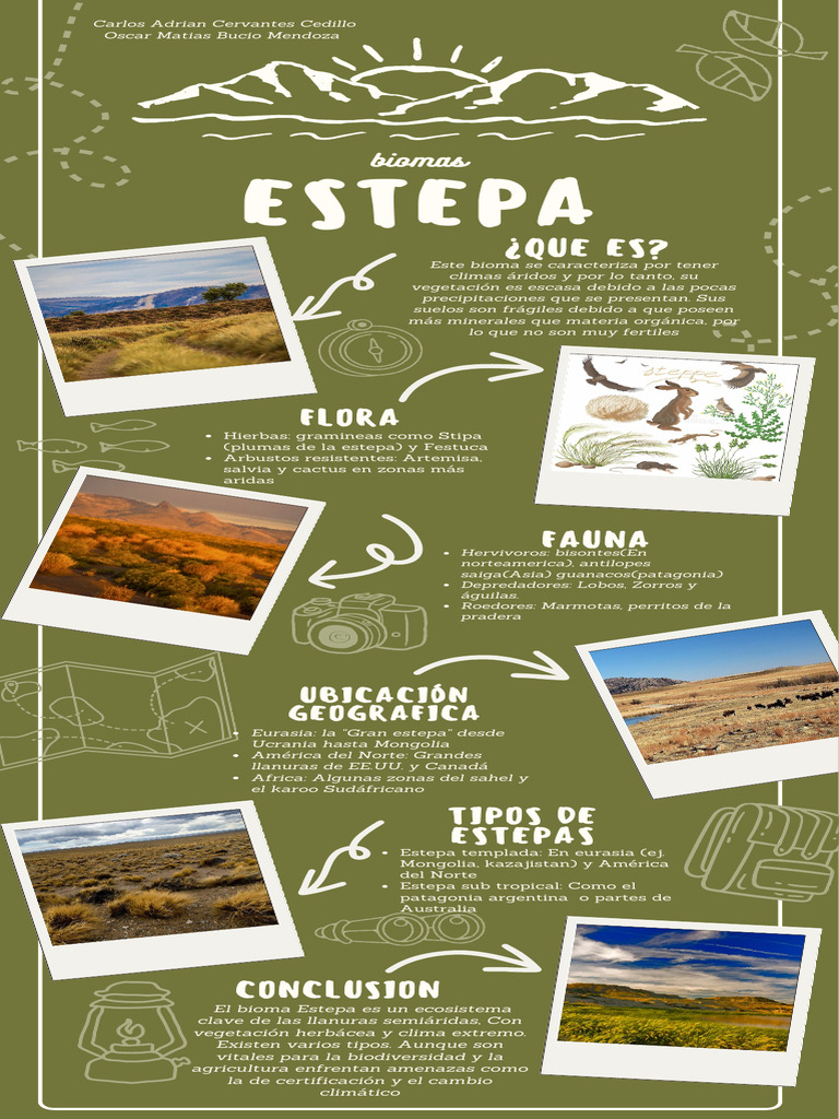 Biomas (Estepa) 206 Enfermeria - 20250602 - 192704 - 0000 | PDF ...