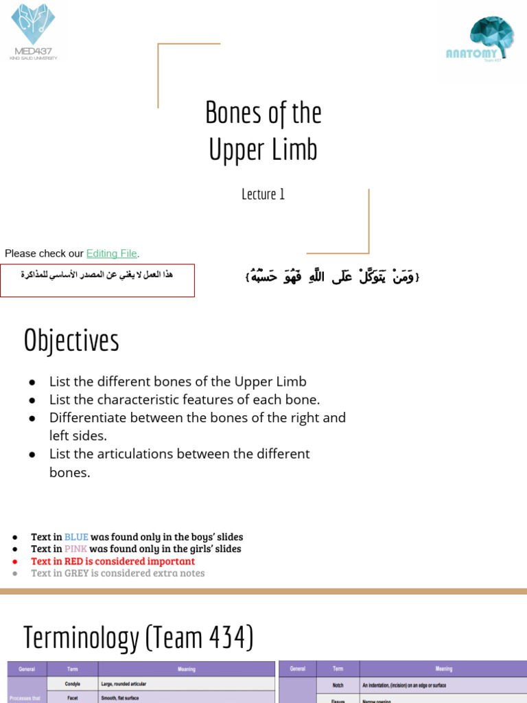 Lecture 1 - Bones of The Upper Limb.. | PDF | Hand | Joints
