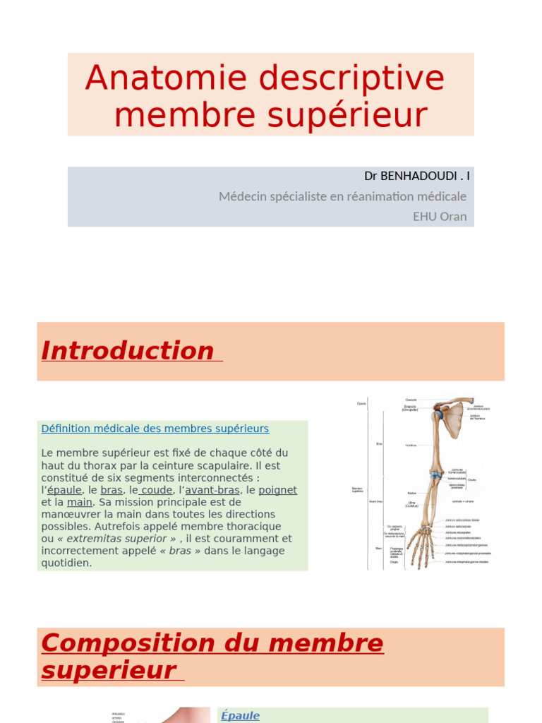 anatomie kiné 2 | PDF | Main | Anatomie humaine