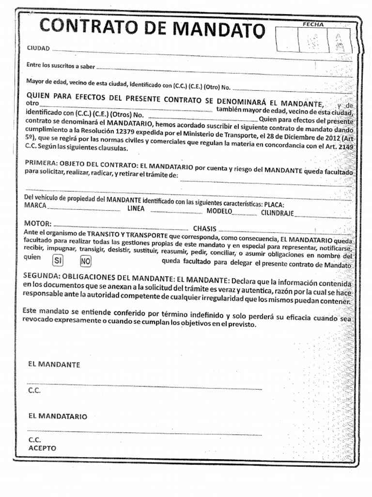 3 Mandato - Transito | PDF