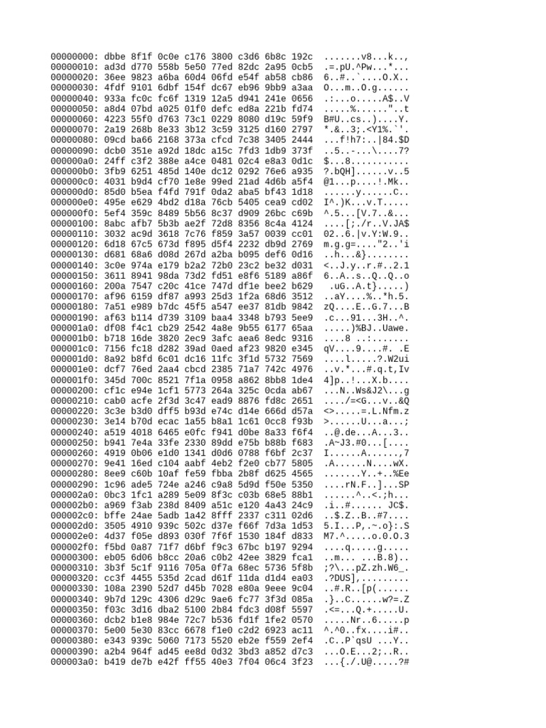 Hexadecimal Data Dump Analysis | PDF